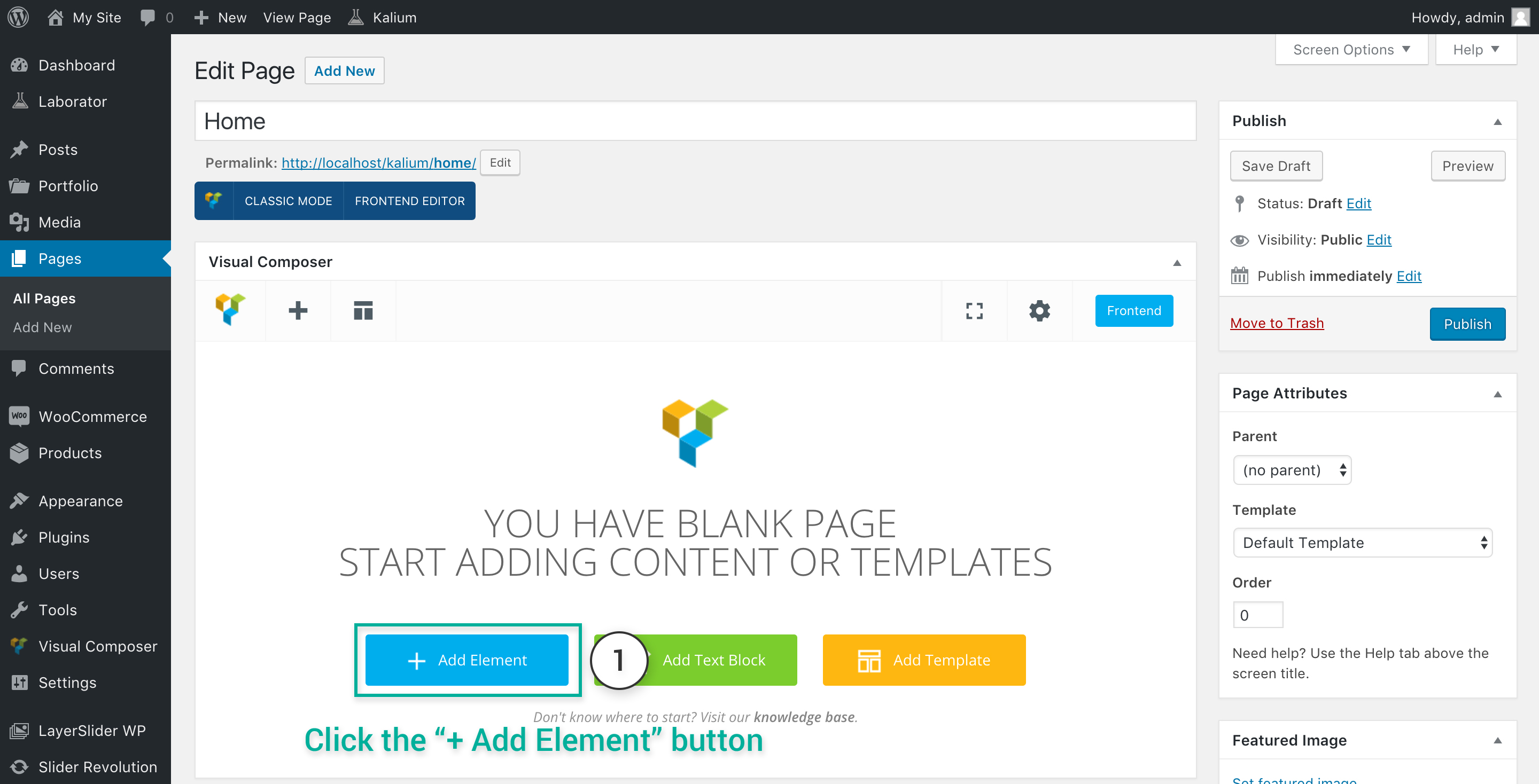Adding Sliders To A Page Laborator